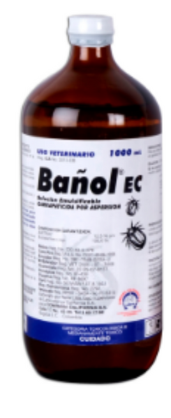 Bañol